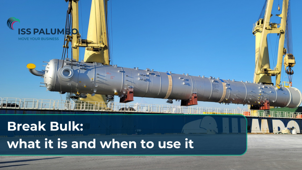 Break Bulk: what is and when to use it — ISS Palumbo